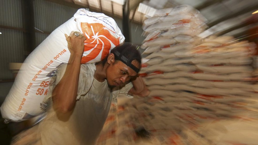 Rekor! Bulog Serap Beras Petani Capai 1,7 Juta Ton! - Ekonosia