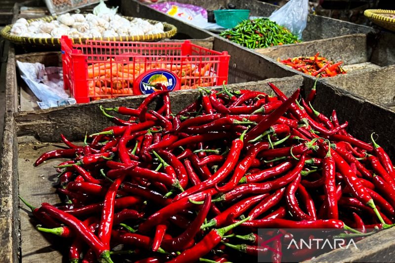 Harga Cabai & Bawang Merah Anjlok! Cek Daftar Harga Pangan Lainnya - Ekonosia